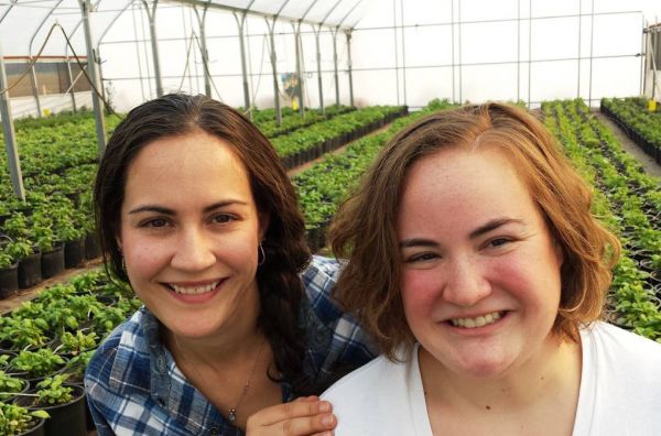 About – Ratto Farms